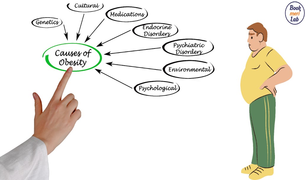 Obesity Overview: Diagnosis, Symptoms & Causes - The Healthcare Guys