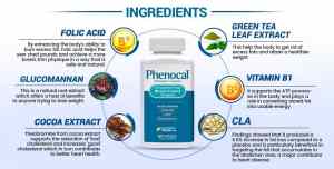 Is It Possible To Lose Weight With The Help of Phenocal For Real? | The ...