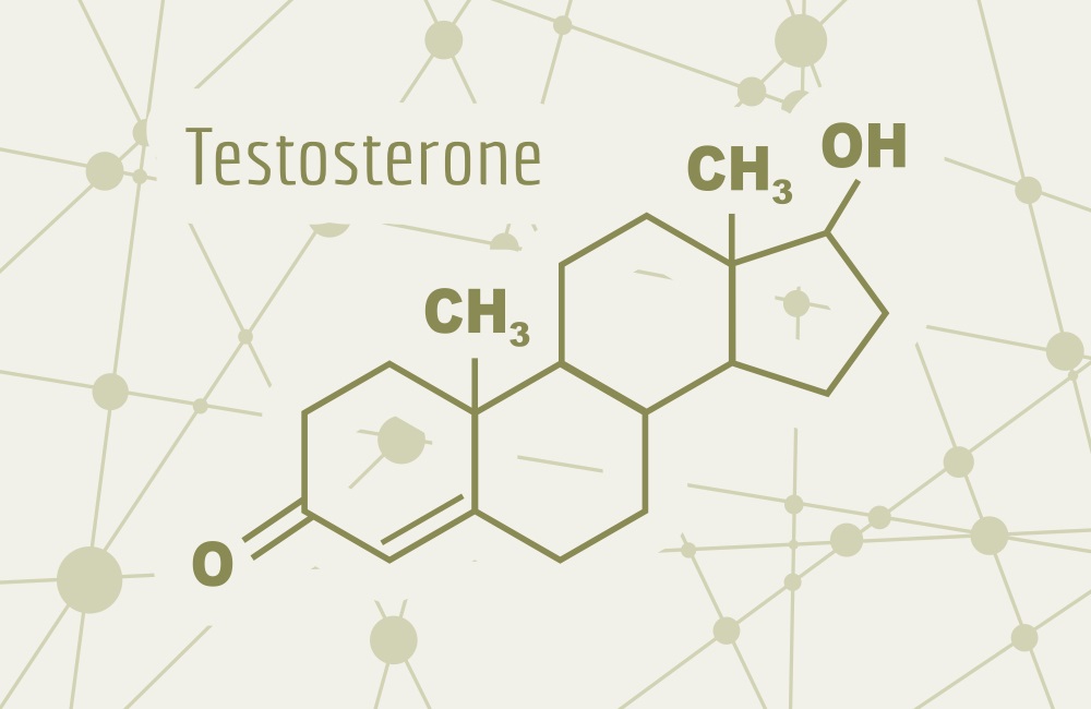 What Is Testosterone and Why It Is Important? | The Healthcare Guys