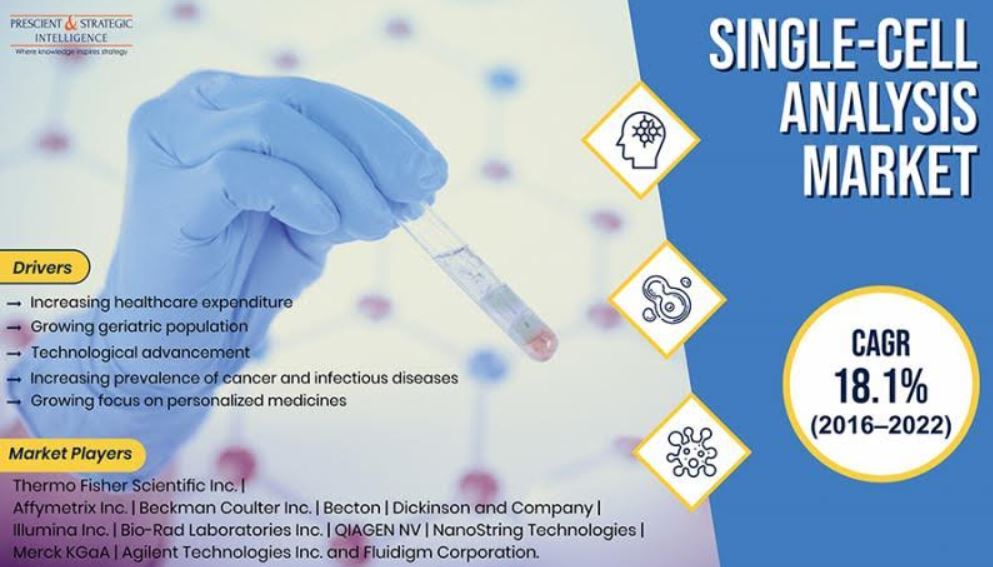 Advancements in Single-Cell Analysis Techniques Paving Way for Early ...