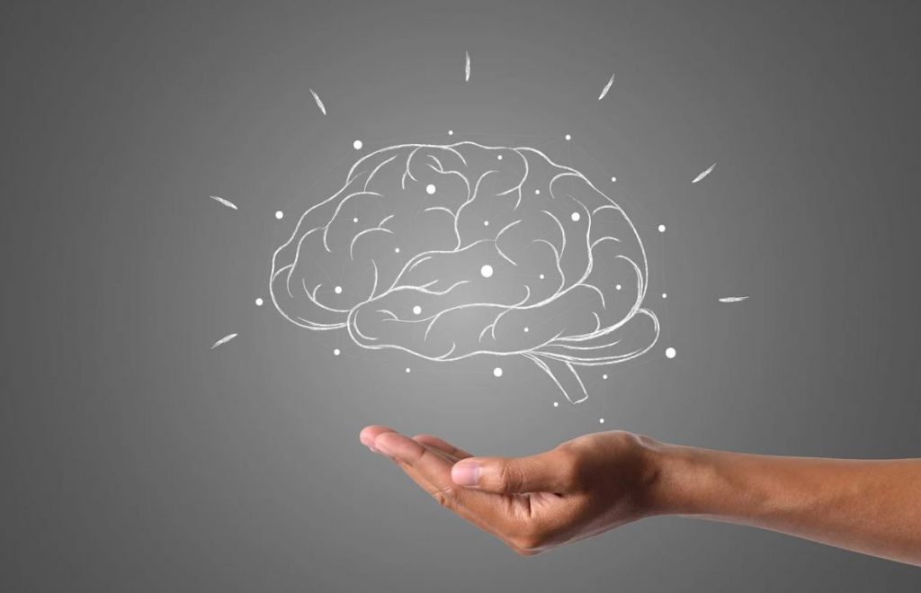 4 Essential Nutrients for Brain Health | The Healthcare Guys