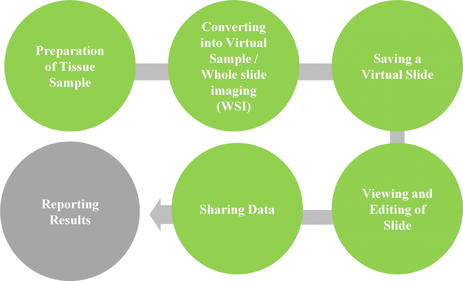 Revolutionizing Disease Diagnosis Through AI Driven Digital Pathology ...