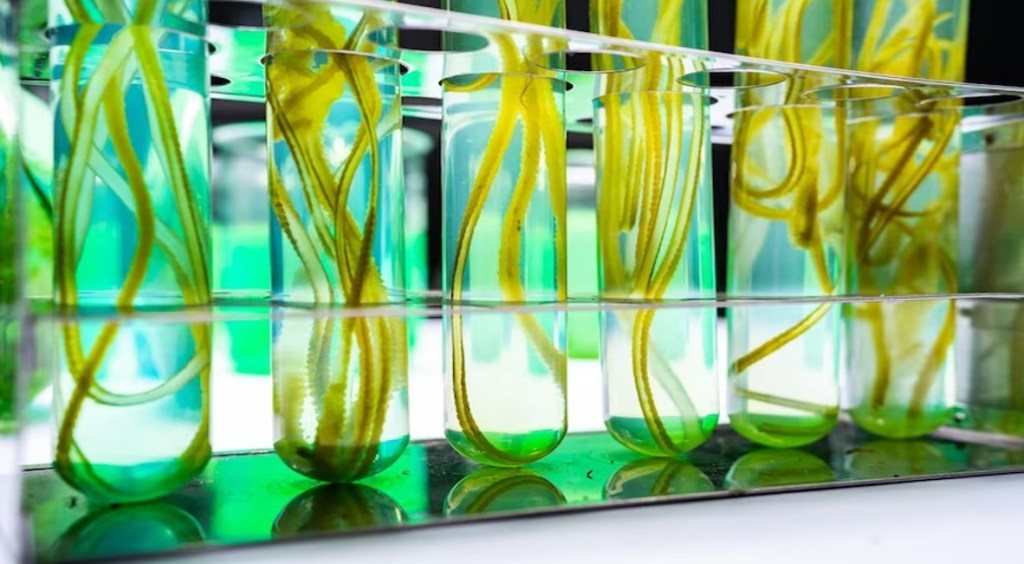 Unlocking Bioprocessing Efficiency: The Advantages of Hollow Fiber ...
